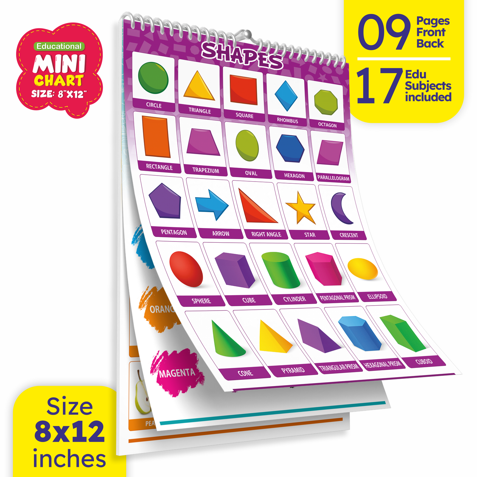 Home All products Look N Learn Mini Educational Chart